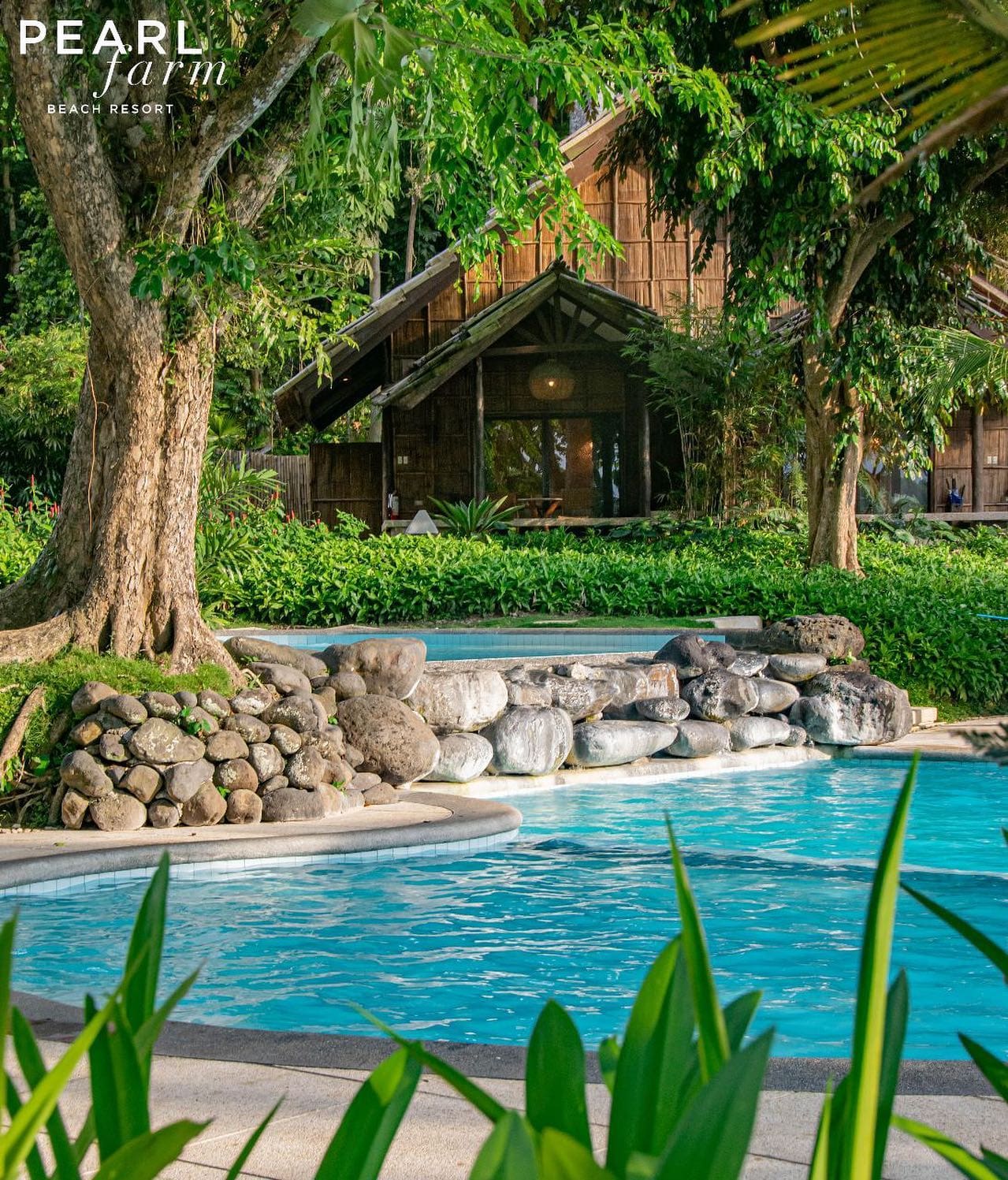 PEARL FARM BEACH RESORT | Gallery | Island Garden City of Samal ...